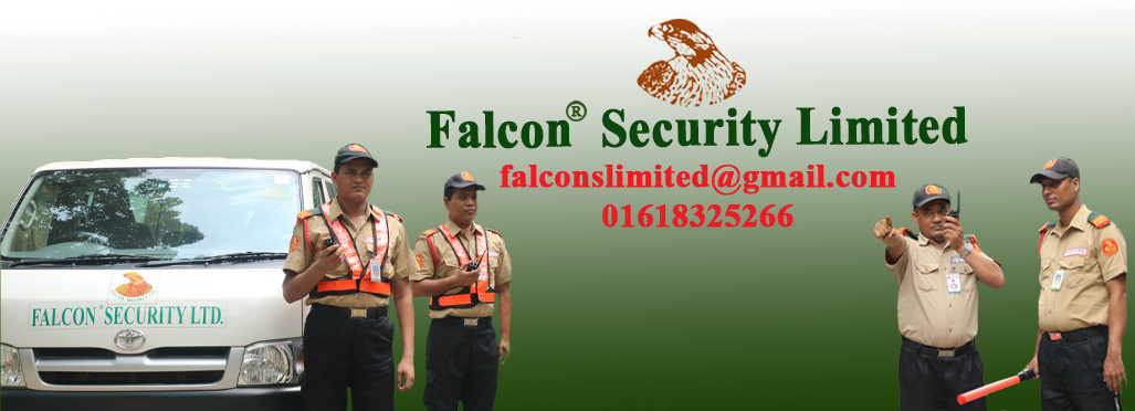 FalconsLimited